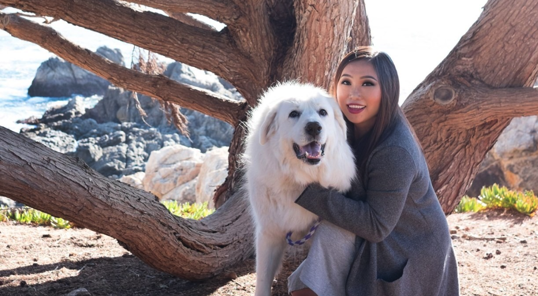 About Me – Kit Lau,Creative Professional